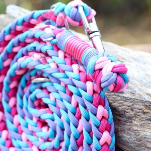 Custom Horse Tack With Name Tag, Personalized Lead Rope for Pets, With ...