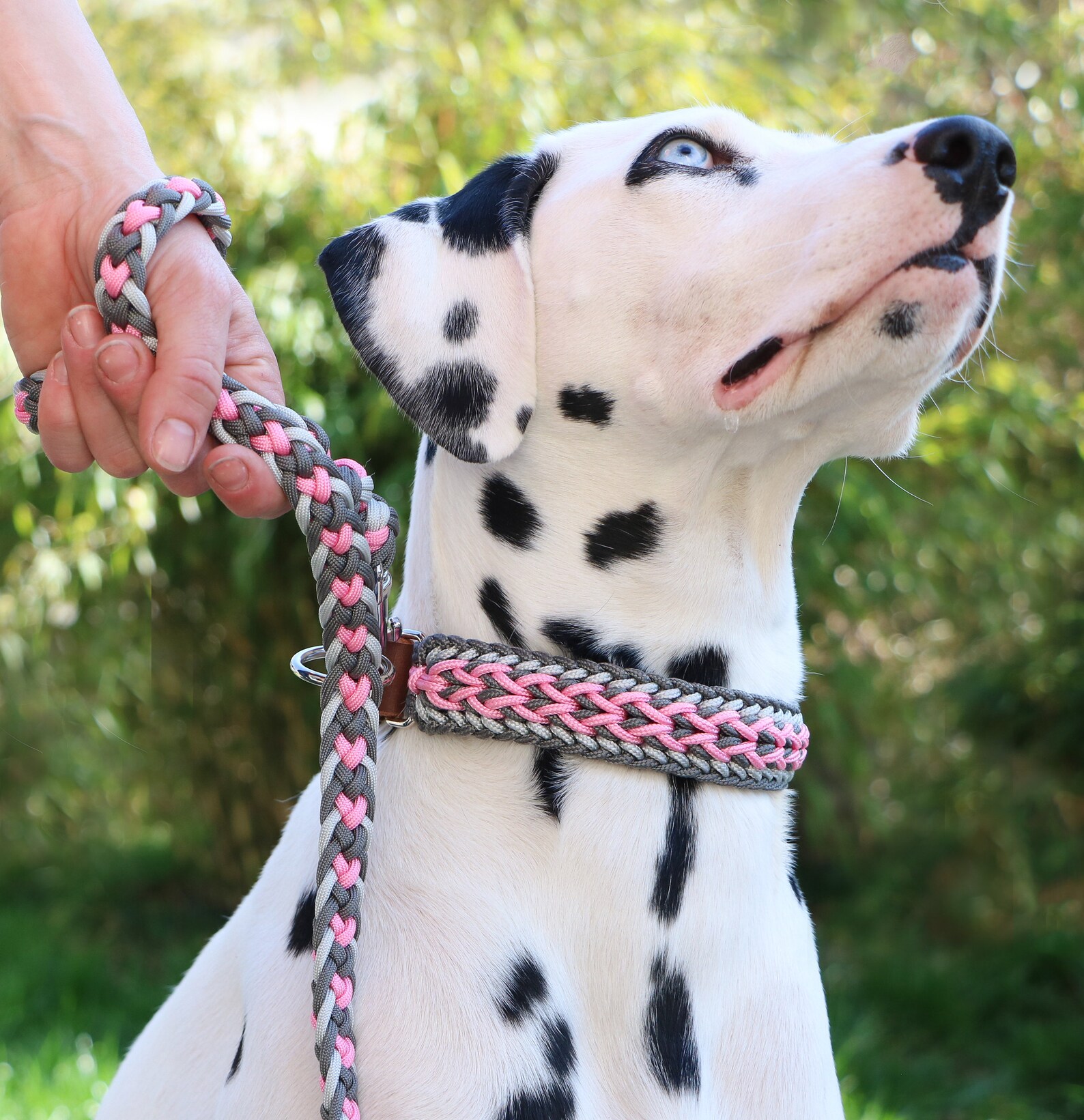 Dog Collar and Leash Set, With Name Tag, for Small and Large Dogs ...
