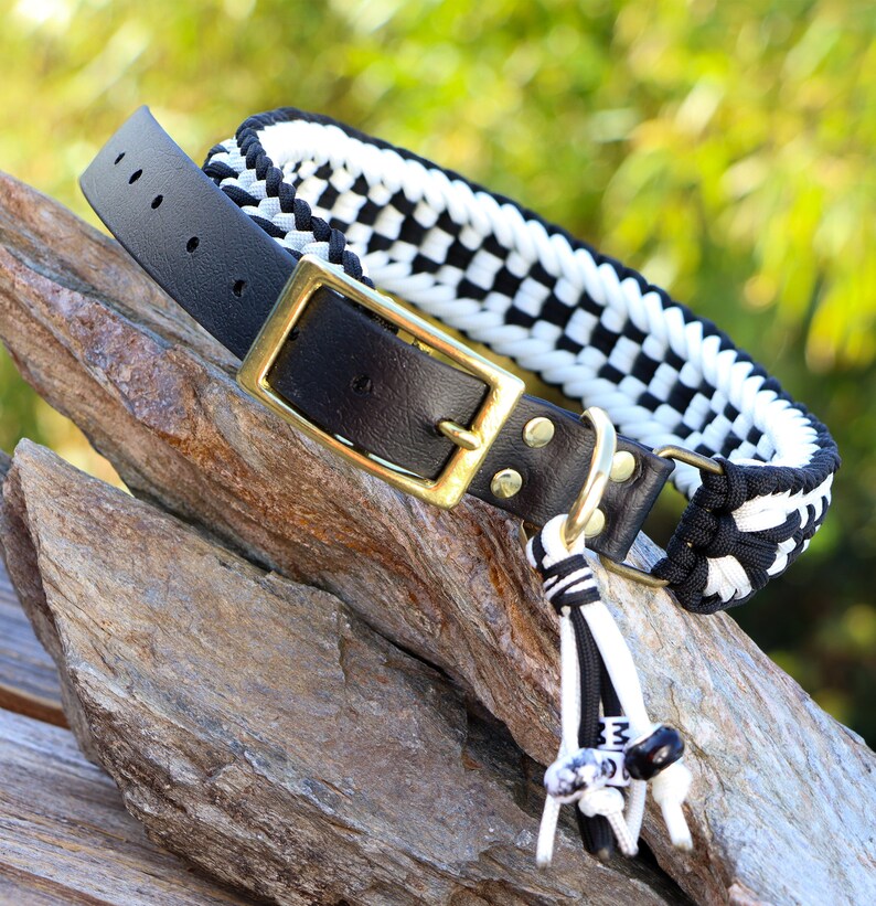Black and White Dog Collar With Name Tag, Handmade From Gen. Paracord ...