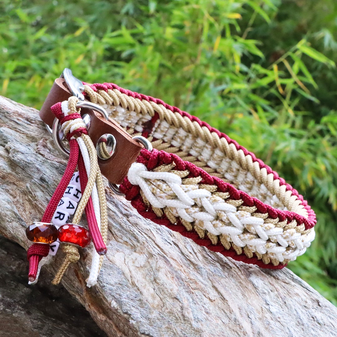 Personalized Dog Collar With Name Tag, Handmade From Gen. Paracord ...