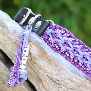 Dog Collar and Leash Set, With Name Tag, for Small and Large Dogs ...