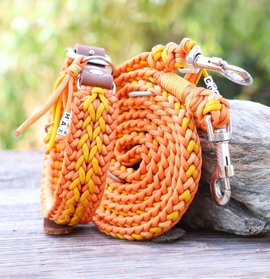 Boho Dog Collar and Leash Set, W. Name Tag, Custom Made, Waterproof ...
