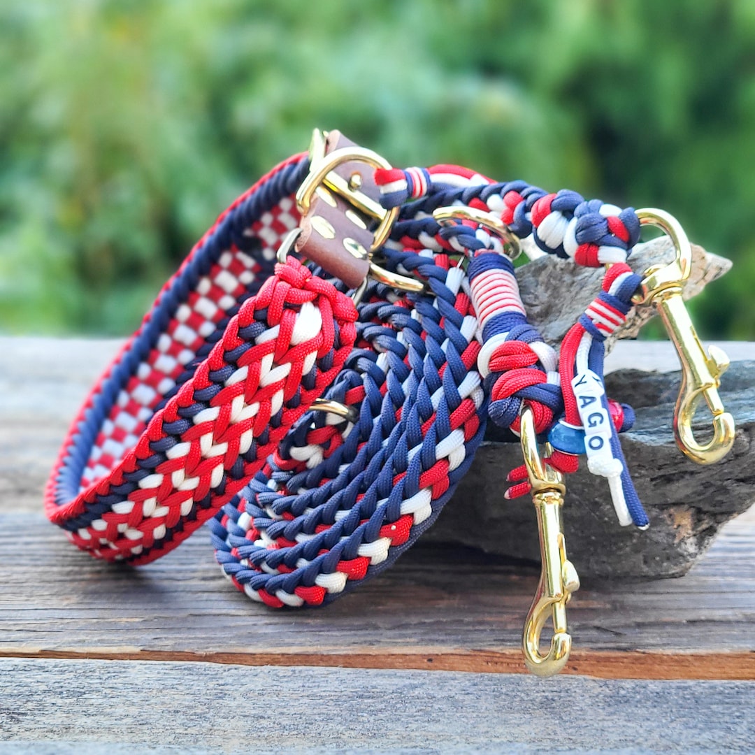 Custom Dog Collar and Leash Set With Name Tag, for Small and Large Dogs ...