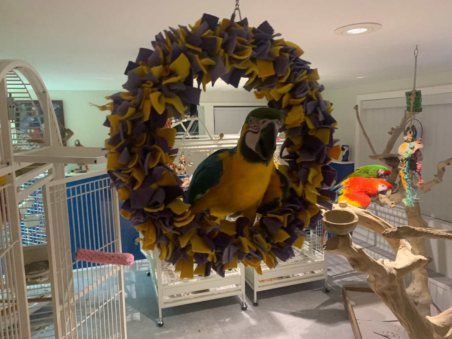 12 Fleece Bird Snuggle Wreath Swing Parrot/ferret/sugar Glider Cuddle ...