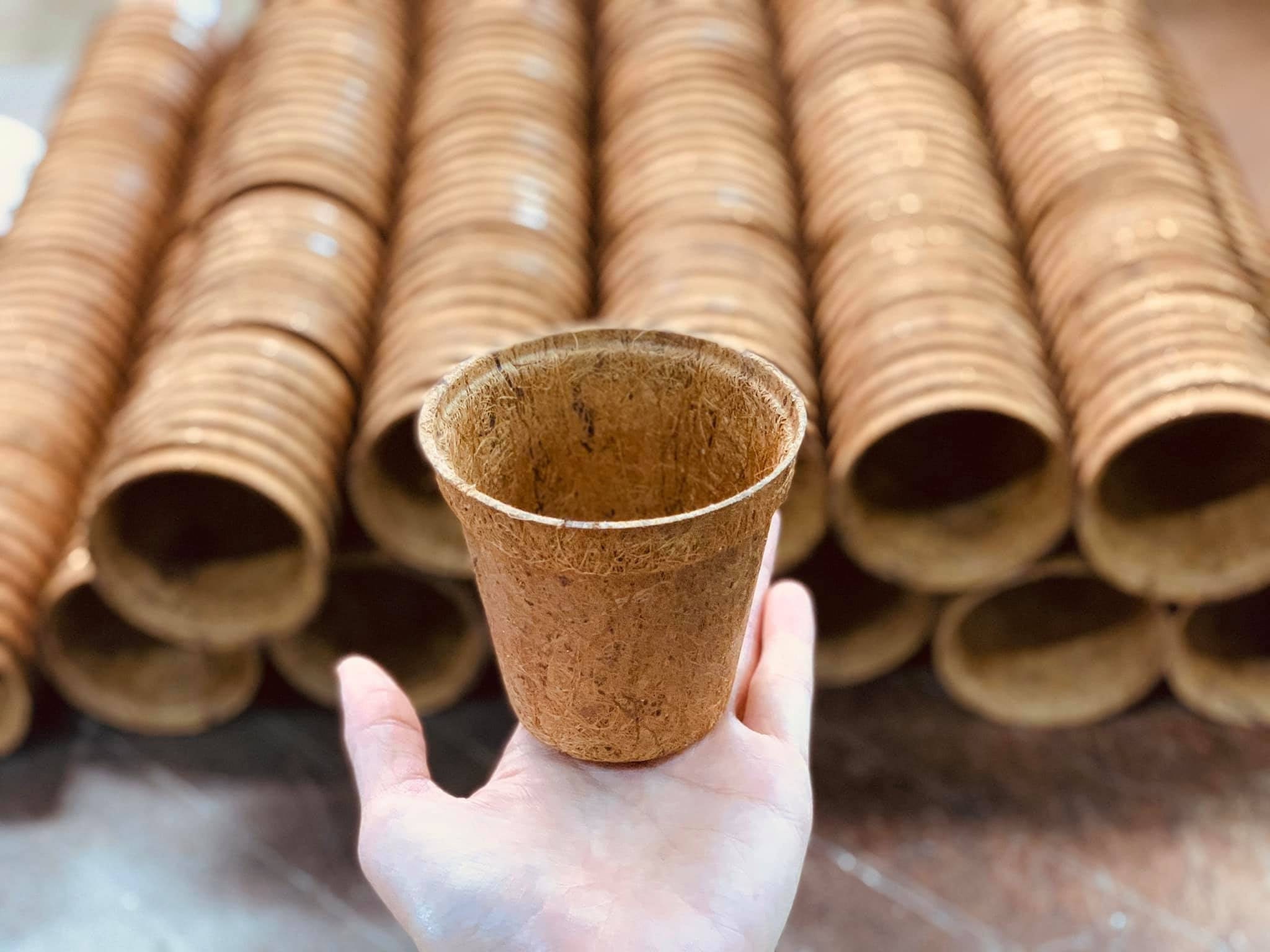 Biodegradable Coco Coir Pots for Seedlings - Eco-friendly Nursery ...