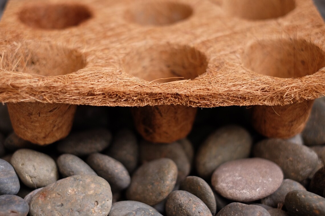 Set 6-cell Coco Coir Seed Starting Tray, Coconut Fiber Grow Cups for ...