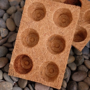 Set 6-cell Coco Coir Seed Starting Tray, Coconut Fiber Grow Cups for ...
