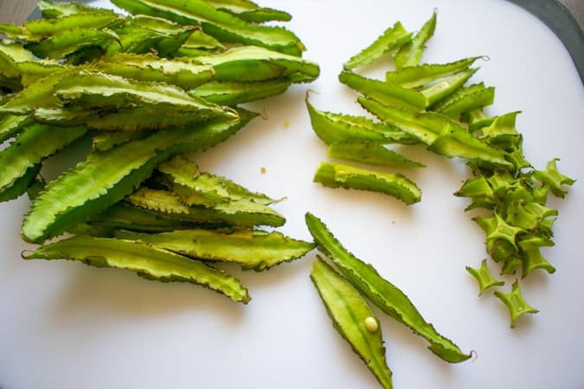 Organic Thai Winged Bean Seeds High-yielding and - Etsy Australia