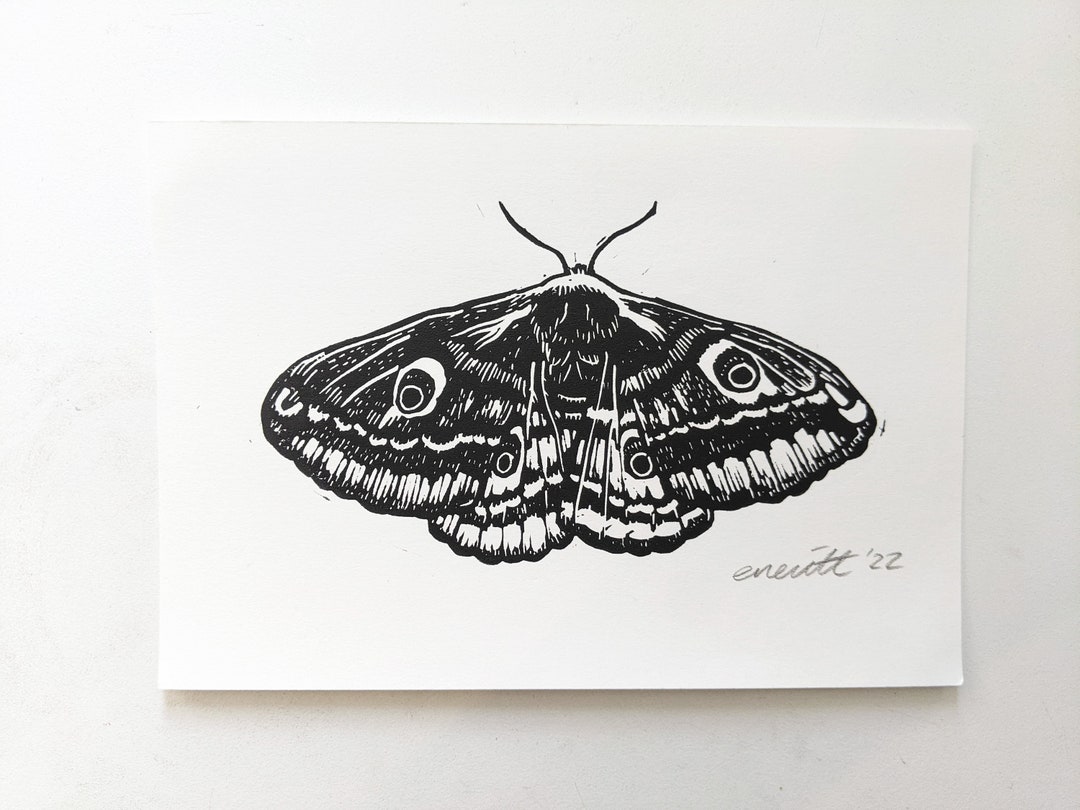 Linocut Print - Moth - Original Handmade Artwork - Etsy