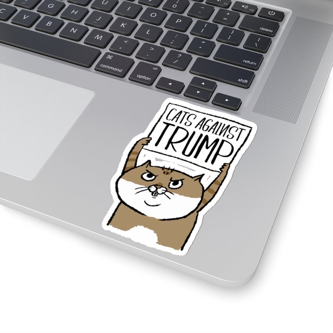 Cranky Cat Protests Against Trump Sticker - Etsy