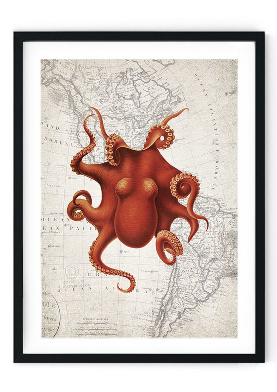 Octopus Map Giclee Print Restored Vintage Wall Art Aquatic | Etsy