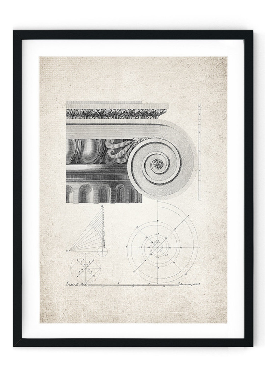 Roman Architecture Ionic Entablature Giclee Print, Restored Vintage ...