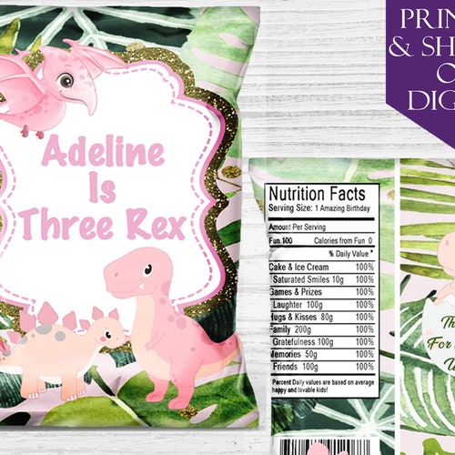 EDITABLE Dinosaur Bottle Label T-rex Dinosaur Water Labels | Etsy