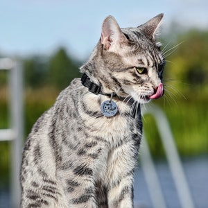 Cat Collar Name Tag, Personalized Cat Name ID Tag, Custom Pet Collar ...