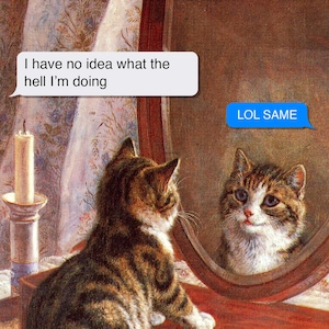 Cat Meme Art Print, Cat Lover Gift Idea, Motivational Poster, Funny Cat ...