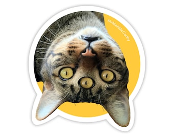 Cat Eye Sticker | Etsy