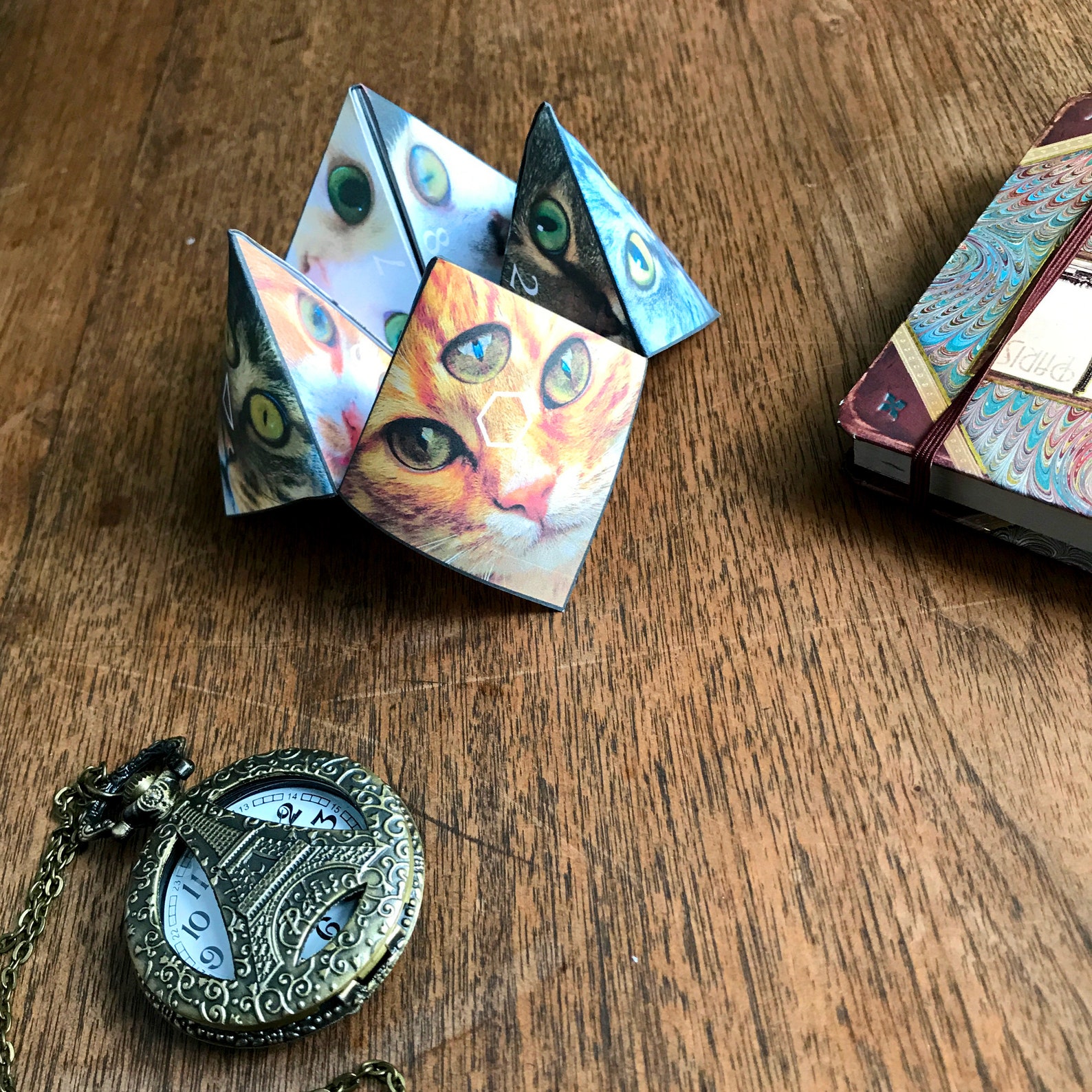 Printable Cat Fortune Teller Origami Cat Cootie Catcher - Etsy