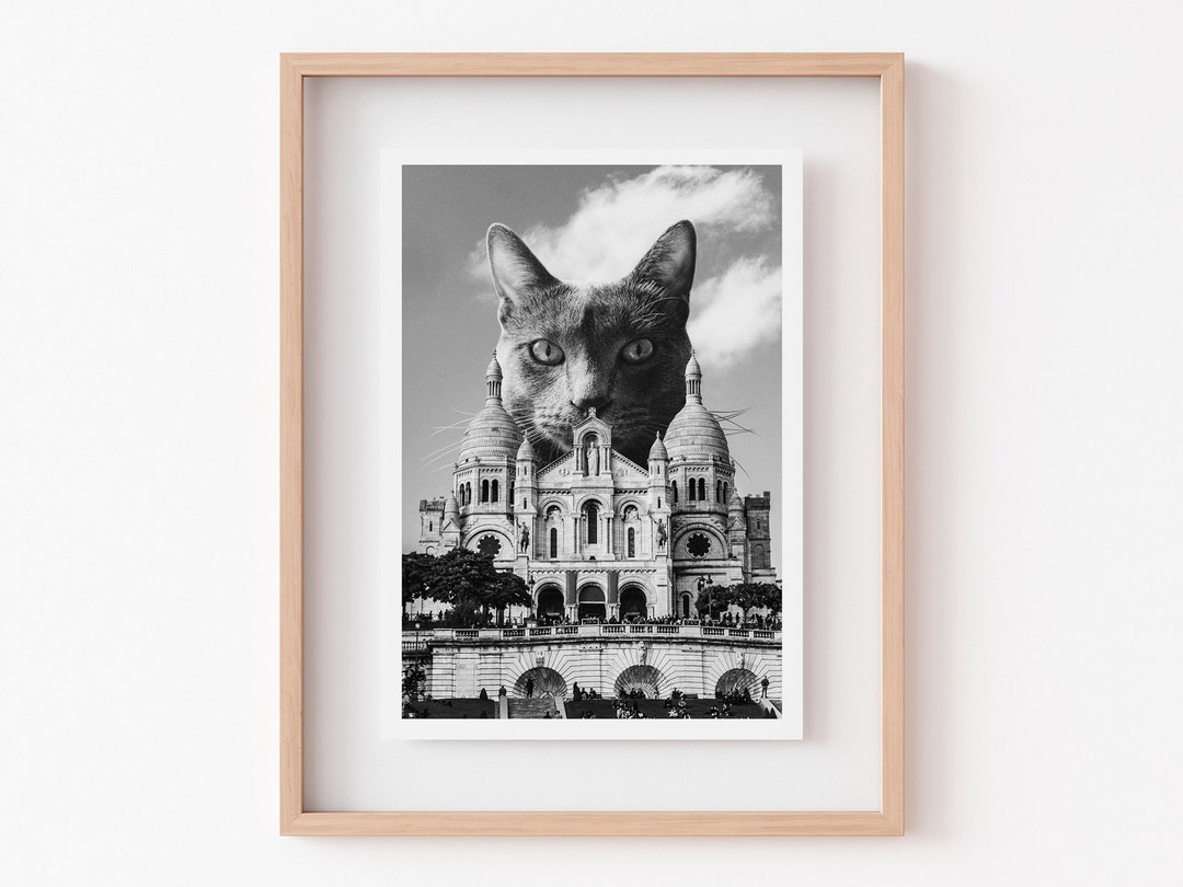 Paris Black and White Cat Print, Sacré-cœur, Sacred Heart, Parisian ...