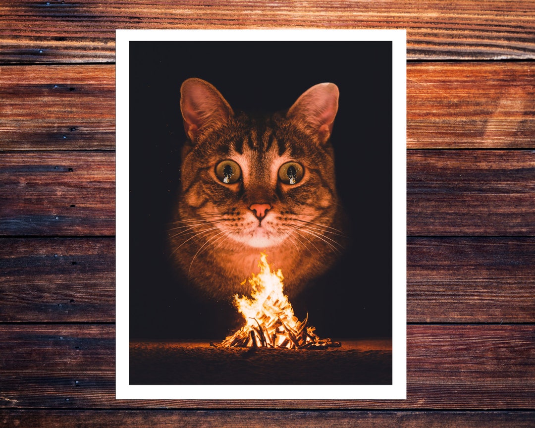 Campfire Cat Art Print, Cat Artwork, Surreal Art, Camping Art, Camping ...