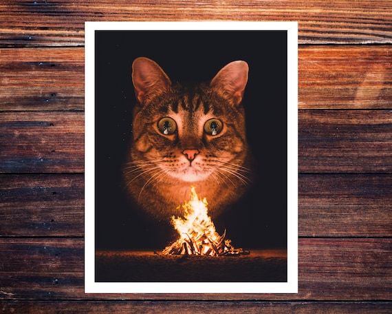 Campfire Cat Art Print Cat Artwork Surreal Art Camping Art - Etsy