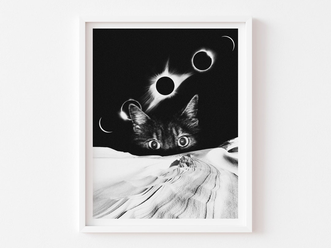 Black Cat Eclipse Art Print, Space Wall Art, Black Cat Lover Gift - Etsy
