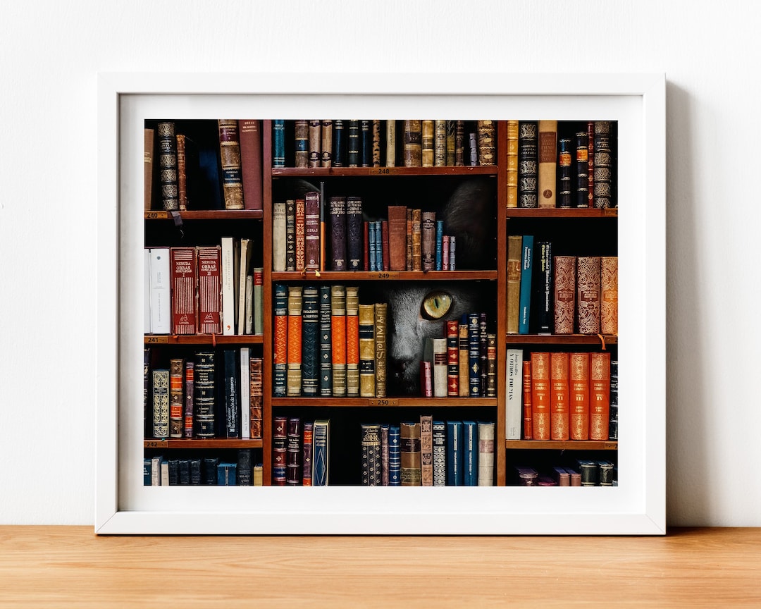 Library Cat Art Print, Cat Books, Gray Cat, Bookshelf, Kitty Art, Book ...