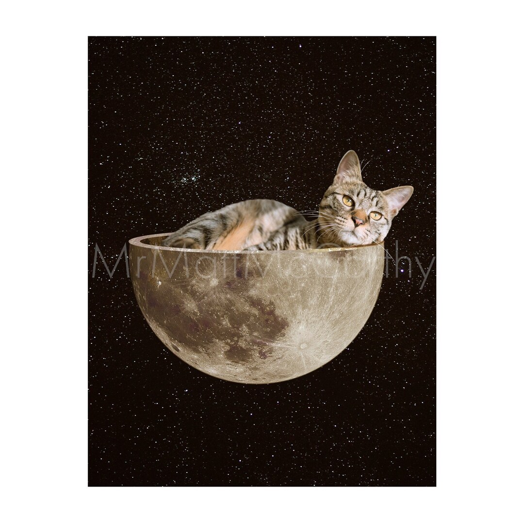 Full Moon Cat Print, Space Artwork, Cat Person Gift, Space Wall Art ...