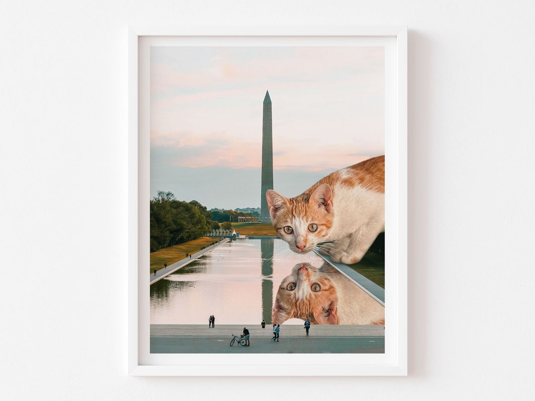 Washington DC Cat Art, Orange Cat Print, Reflecting Pool, Meditation ...