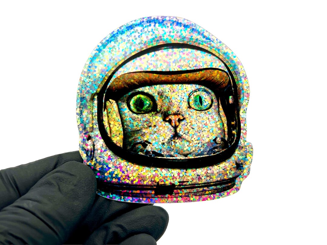 Glitter Astrocat Sticker, Rainbow Sticker, Space Cat, Cat Art ...