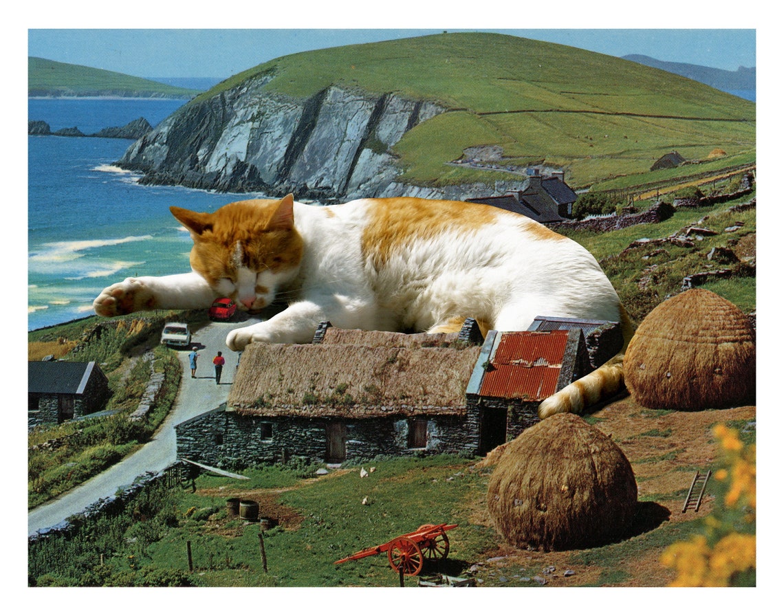 Ireland Cat Art Print Irish Dingle Cat Lover Gift Home - Etsy