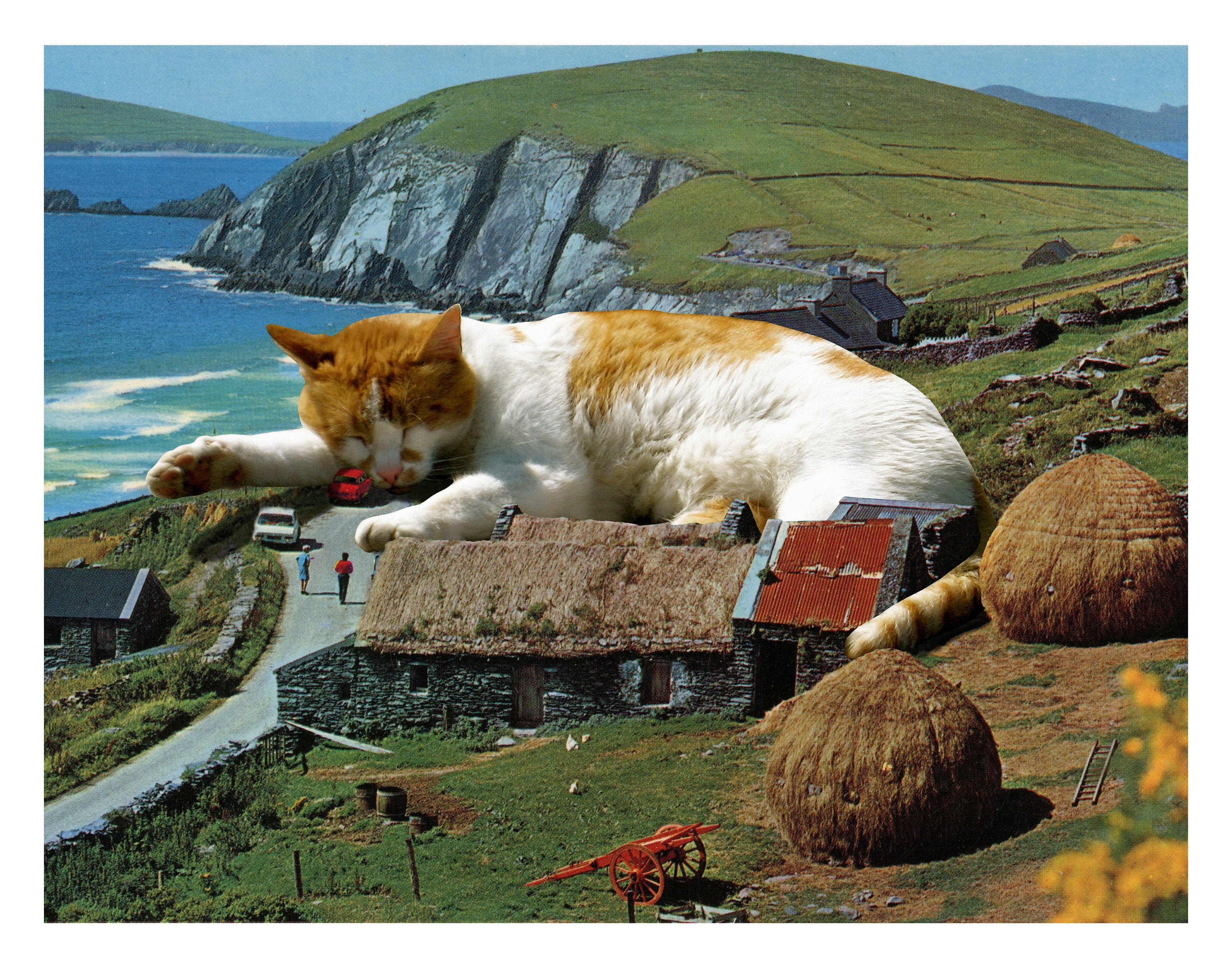Ireland Cat Art Print: Dingle Collage, Irish Home Decor - Etsy