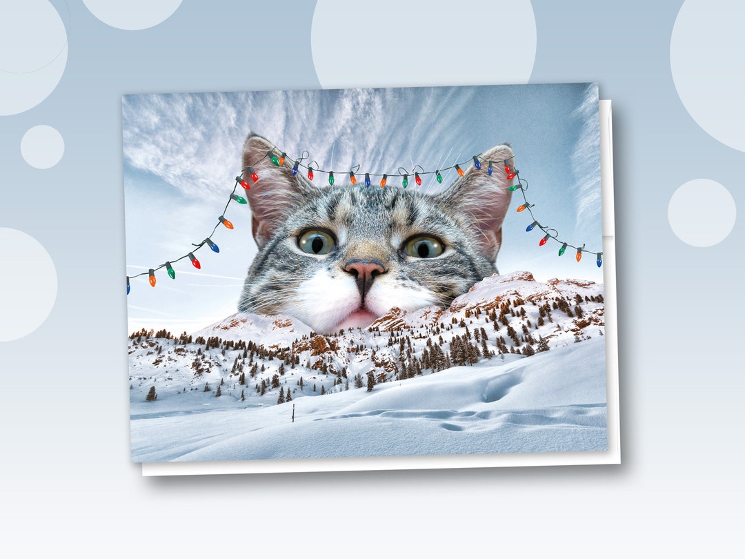 Happy Holidays Cat Greeting Card, Cat Christmas Card Set, Cat ... Happy Holidays Cat Greeting Card, Cat Christmas Card Set, Cat ...