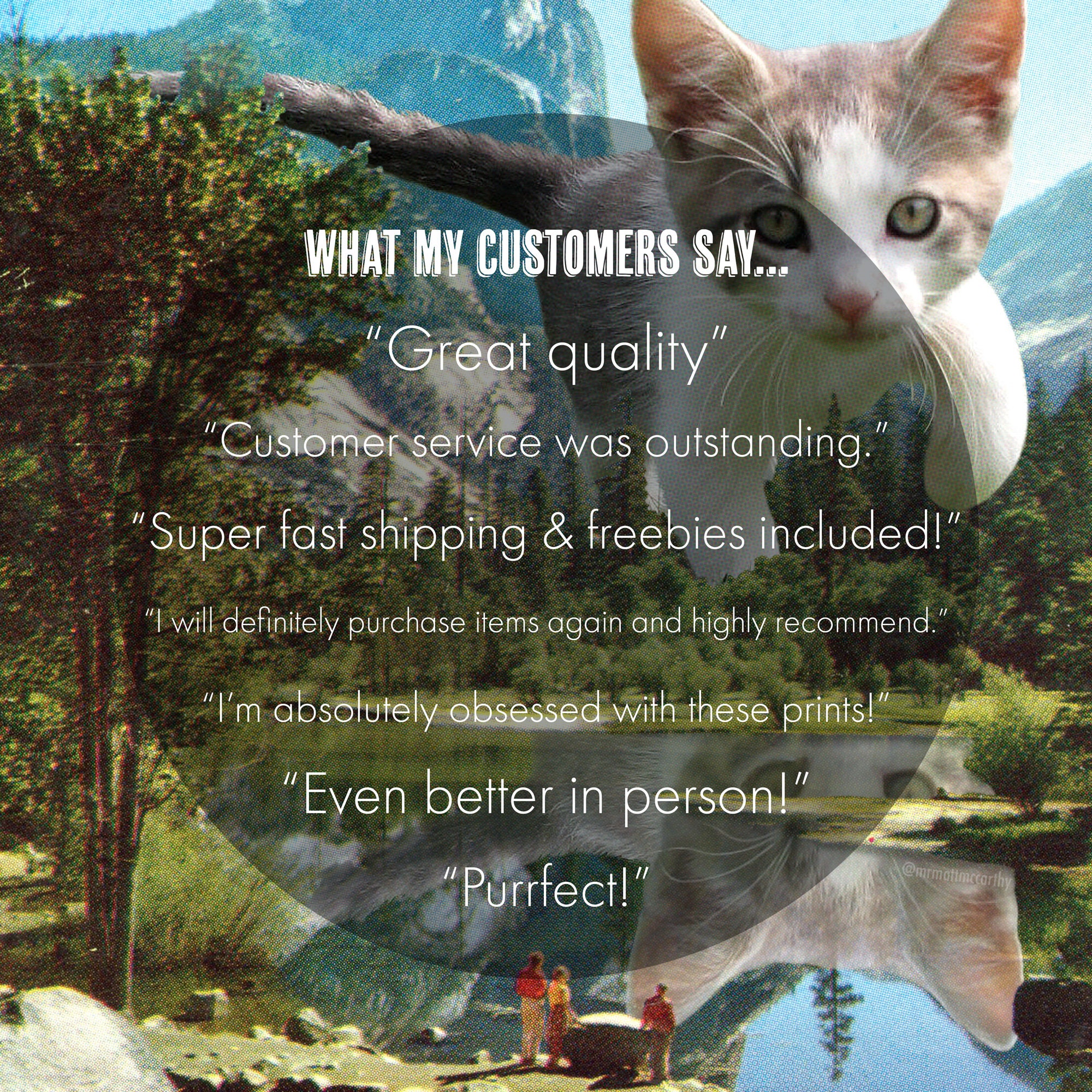 Nautical Cat Art Print Boat Print Collage Artwork Ocean - Etsy