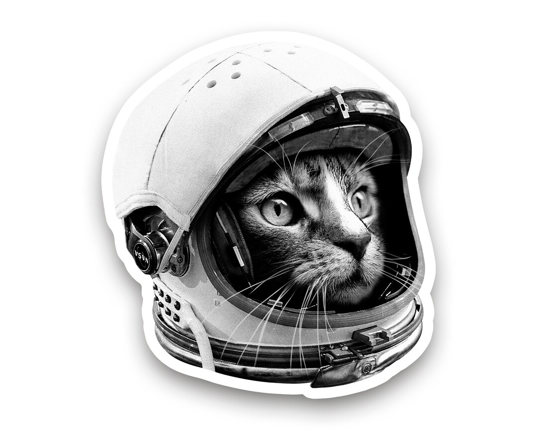 Astronaut Cat Sticker | Black & White | Space Cat Sticker | Cat Gift ...