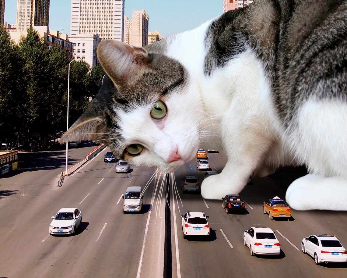 BIG CAT PRINT Giant Cat Art Car Art Print Surreal Wall Art - Etsy