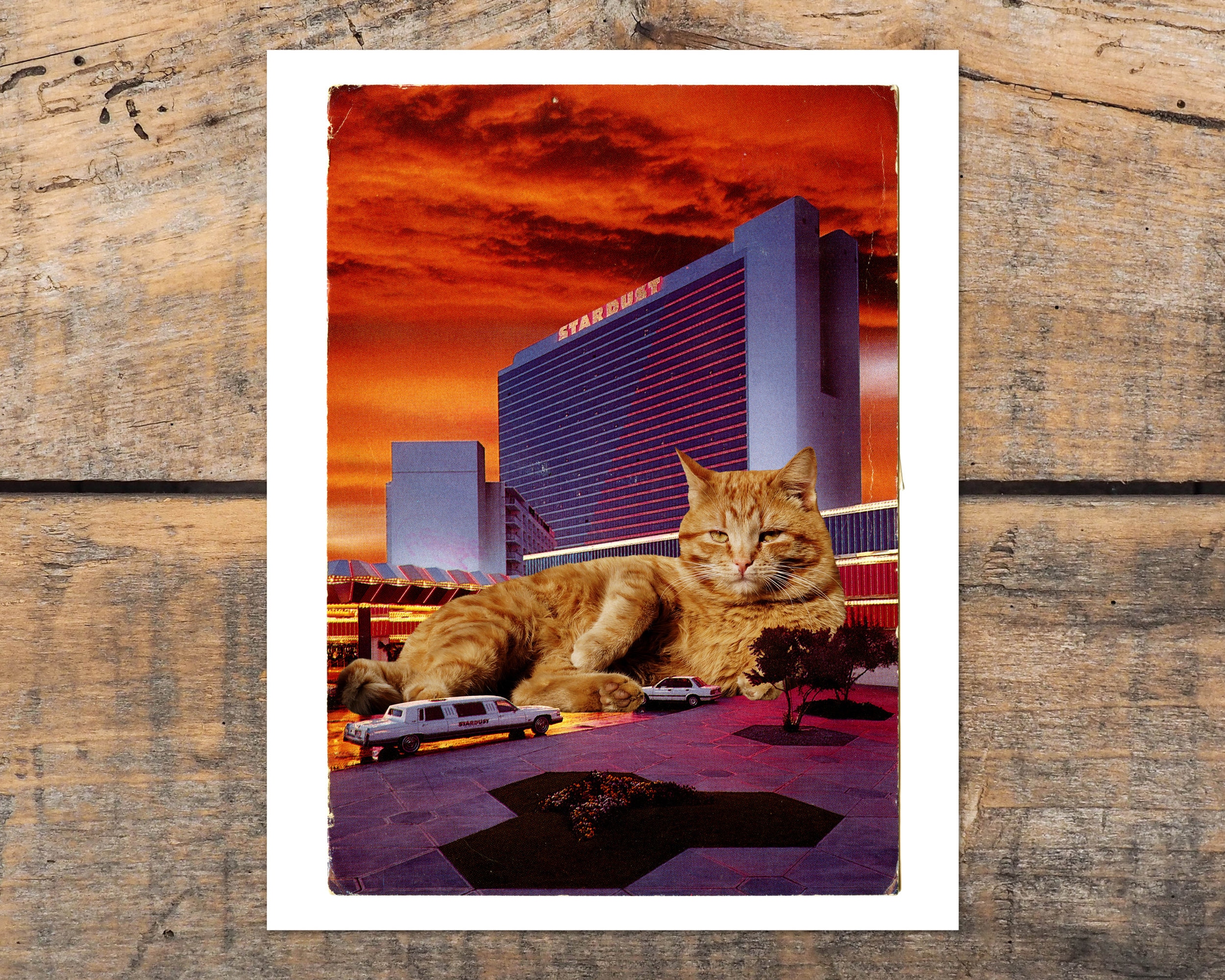 90s Cat Art Print Las Vegas Art Bachelorette Gift Cat | Etsy