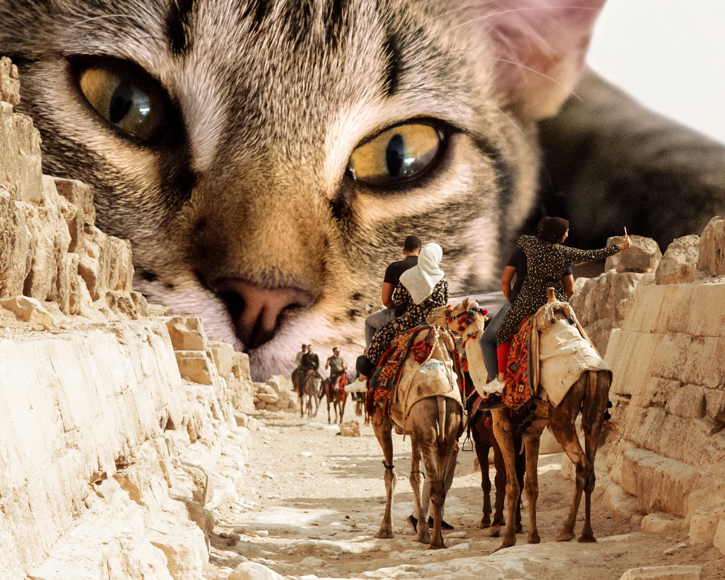 Desert Cat Art Print, Giant Cat Art, Tabby Cat, Desert Decor, Cat ...