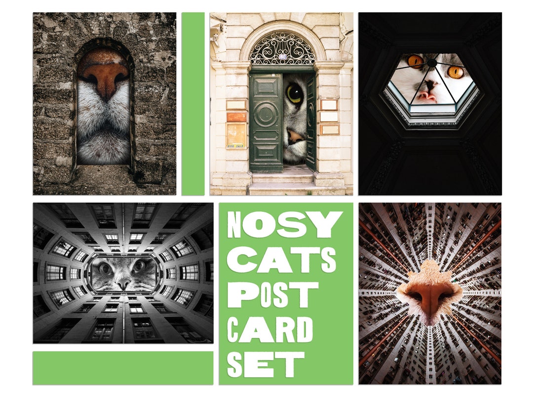 Nosy Cat Postcard Set of 10, Giant Cat Postcards, Blep, Boop, Cat Lover ...
