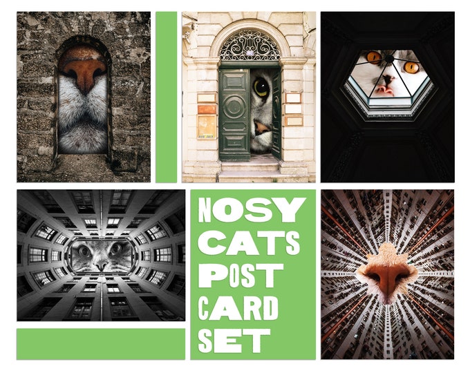 Nosy Cat Postcard Set of 10, Giant Cat Postcards, Blep, Boop, Cat Lover ...
