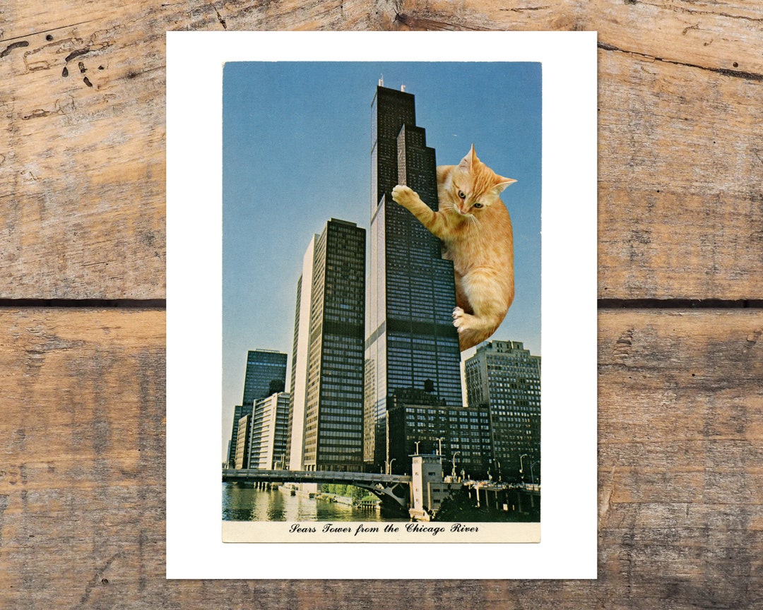 Chicago Cat Print, Chicago Skyline Art, Cat Home Decor, Cat Photography ...
