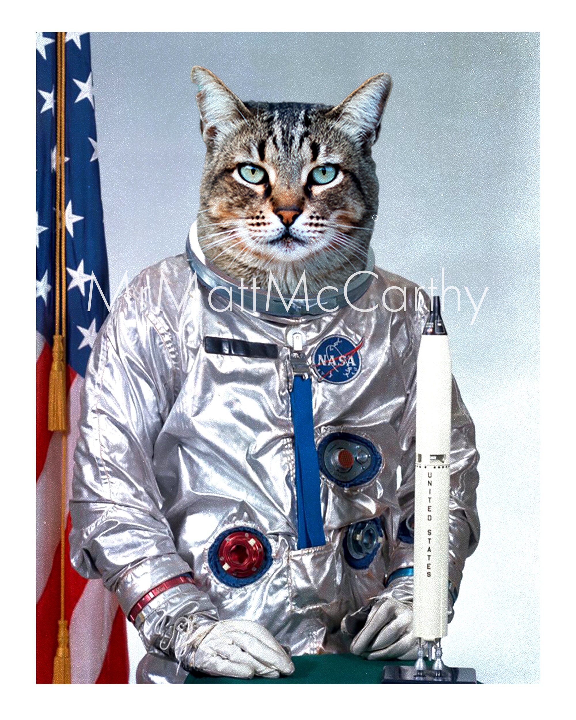 Space Cat Art Print, Astronaut Art, Cat Wall Decor, Cat Lover Gift ...