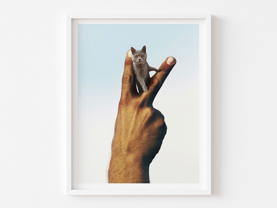 This item is unavailable - Etsy