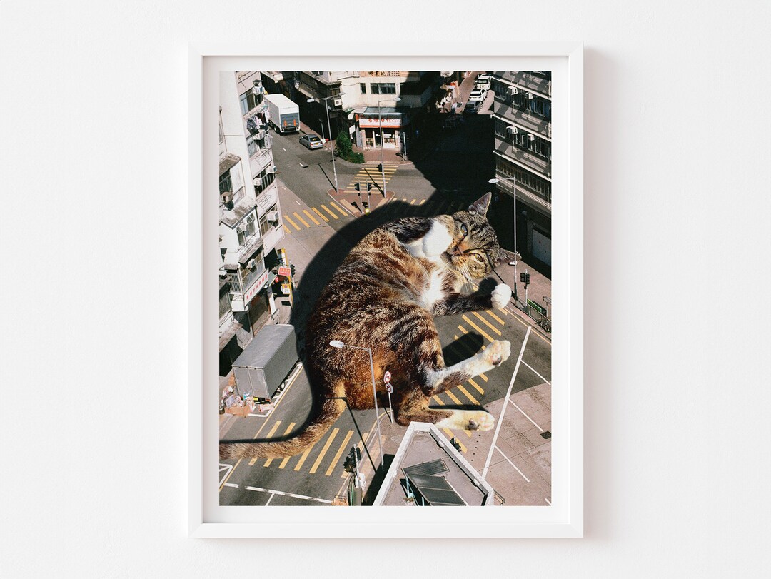 Sleepy Cat Art Print, Hong Kong Art, China Art, Cute Cat Gift, Cat ...