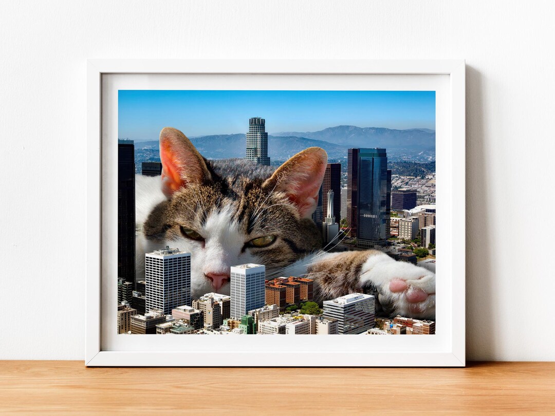 Los Angeles Cat Print, Lazy Cat, Sleeping Cat, LA, California - Etsy