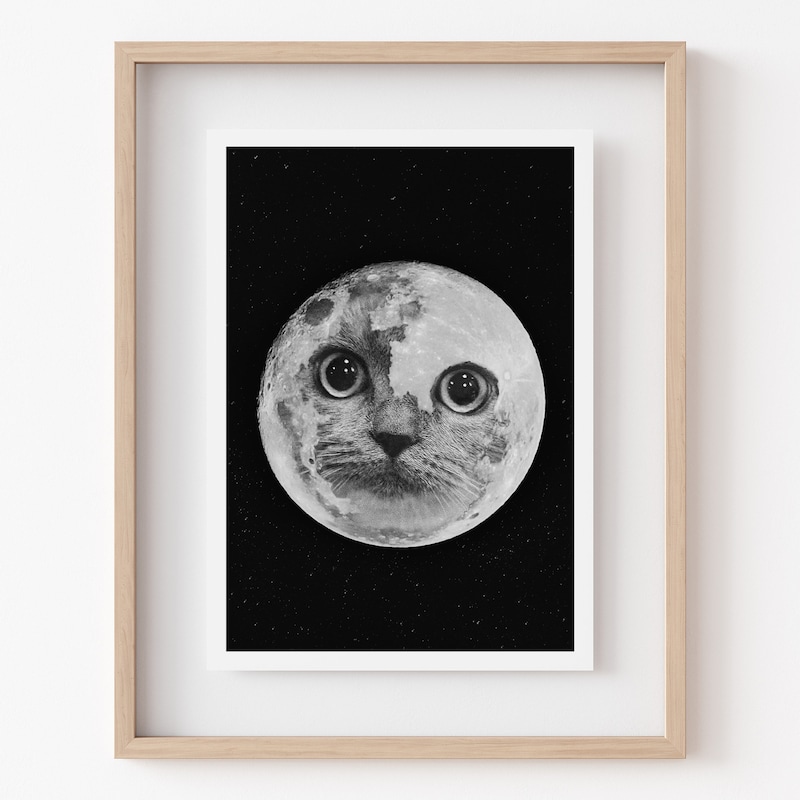 Meow Meow Present - Etsy
