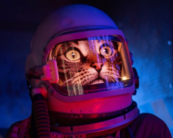 Major Tomcat Print Astronaut Cat Art Astronaut Decor Cat | Etsy