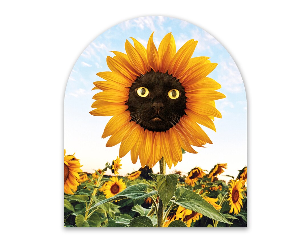 Black Cat Sticker, Weatherproof Vinyl, Laptop Sticker, Sunflower, Kitty ...