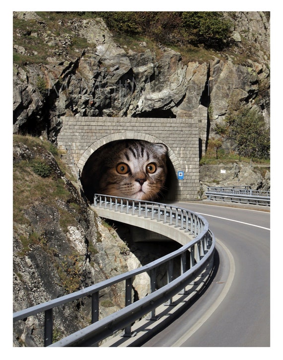 Trouble Around the Bend Print Tabby Cat Art Whimsical - Etsy