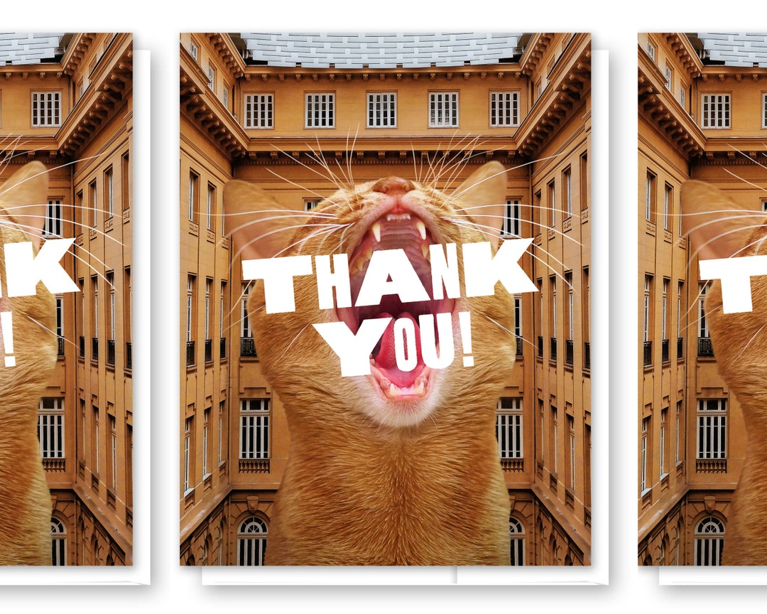 Thank You Cat Card, Cute Cat Card, Cat Stationery, Blank Card Set ...