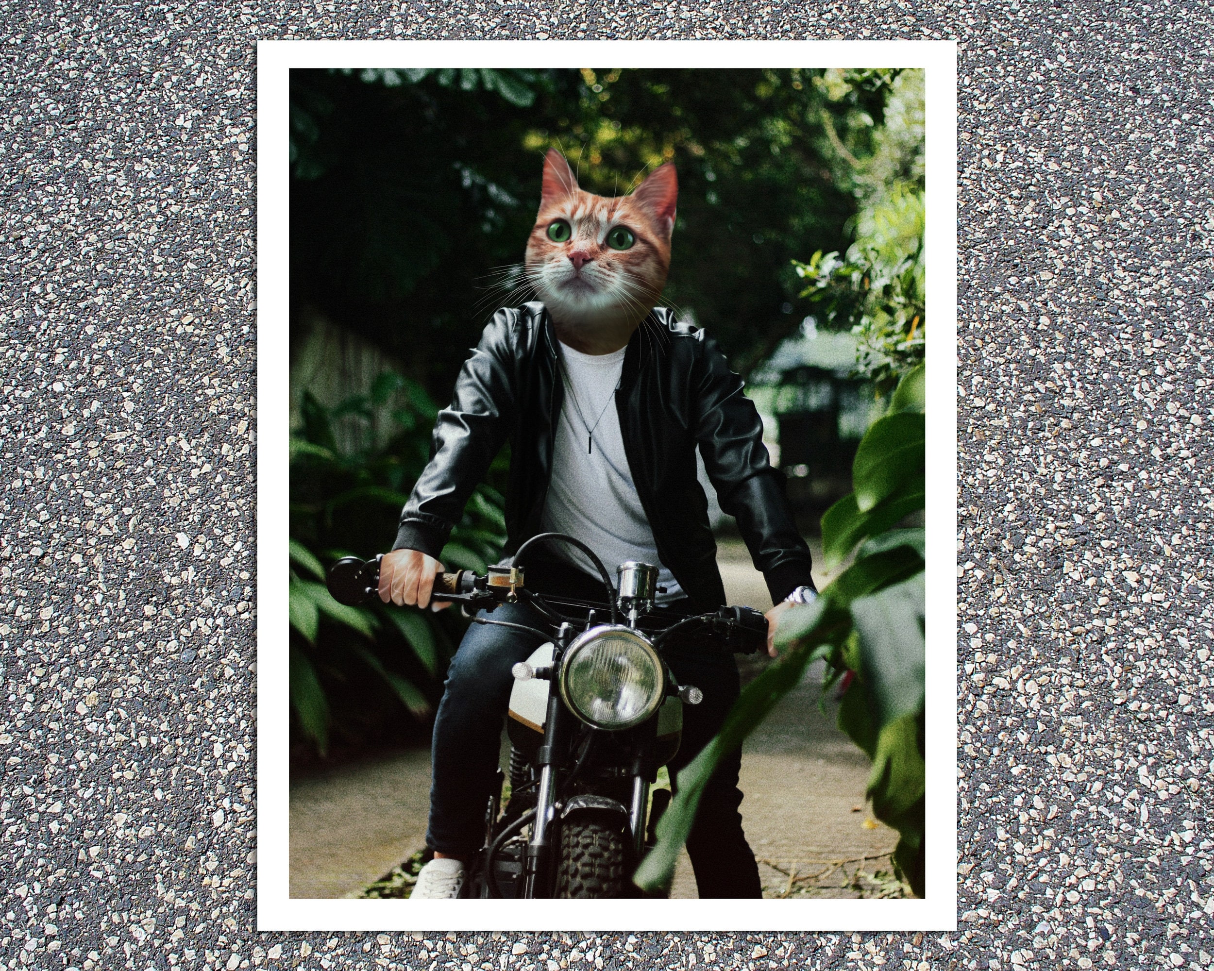 Motorcycle Cat Art Print, Cat Person Gift, Motorcycle Gifts, Orange Cat ...